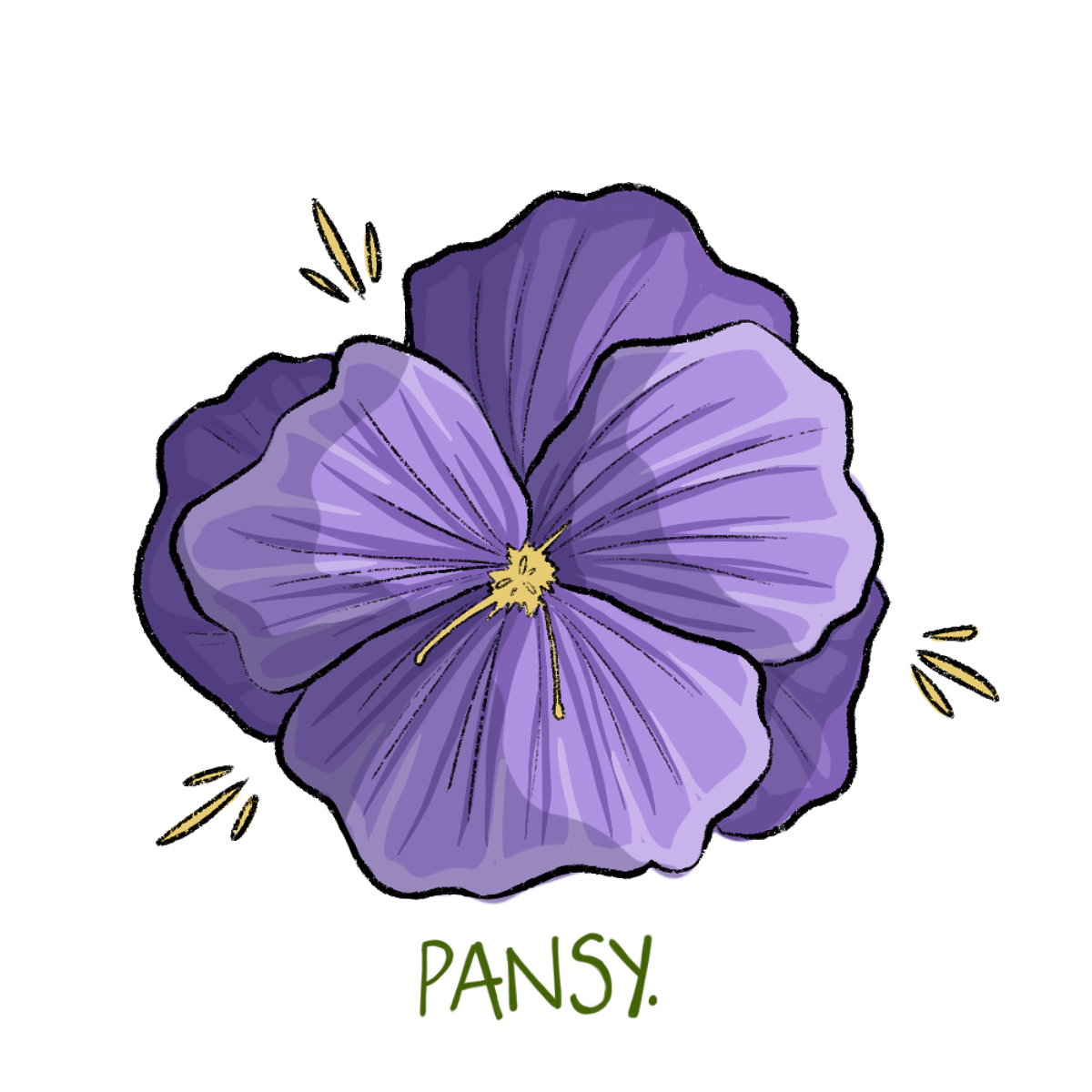Pansy Sticker – The Bookish Type